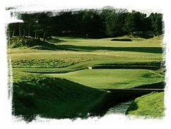 The Medal Course | Monifieth Golf Club